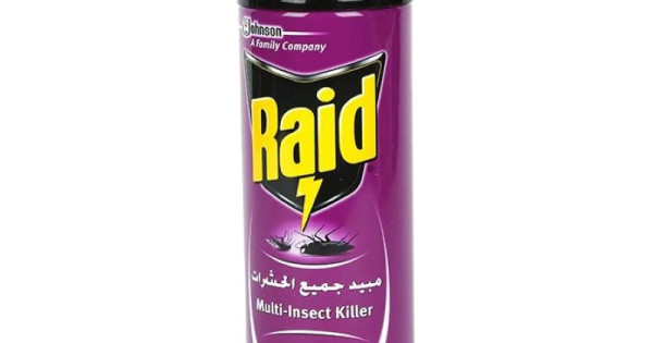 Raid Insecticide Spray 300ml