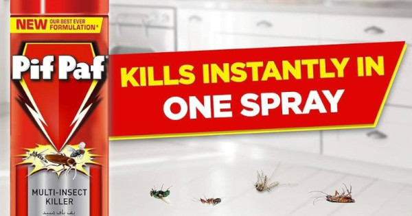 Bif Baf Insecticide 300ml